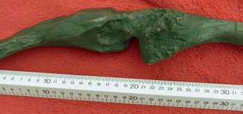 Dinosaur Rib Pathology from the Trex known as Tinker – DinoGear