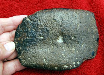 Ankylosaurus, osteoderm, scute – DinoGear