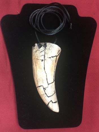 5.5 Inch Tyrannosaurus rex Tooth necklace pendant – DinoGear