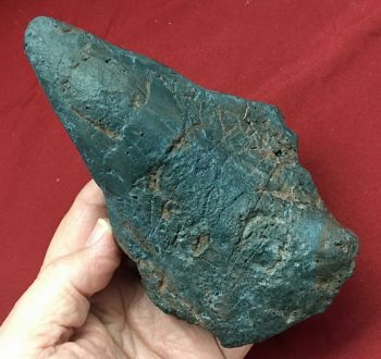 Ankylosaurus, osteoderm spike – DinoGear