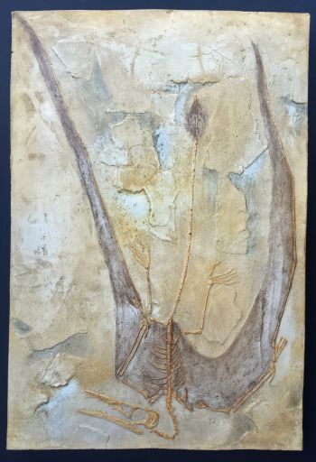 Rhamphorynchus muensteri, Pterosaur, Jurassic – DinoGear