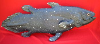 Coelacanth, life size model – DinoGear